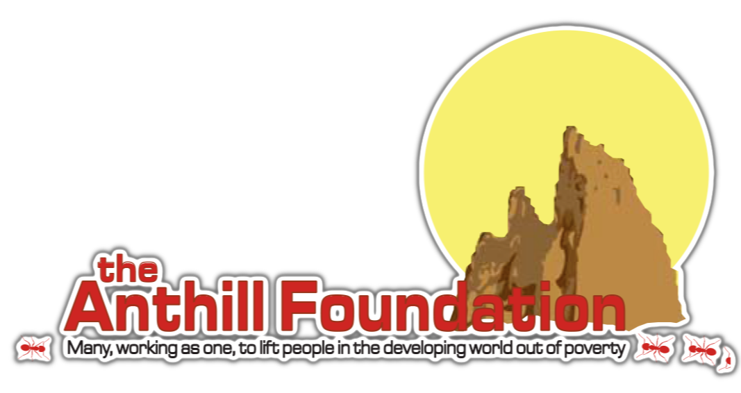Anthill Foundation – Anthill Foundation